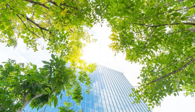 Building Energy Efficiency | Allianz Insurance